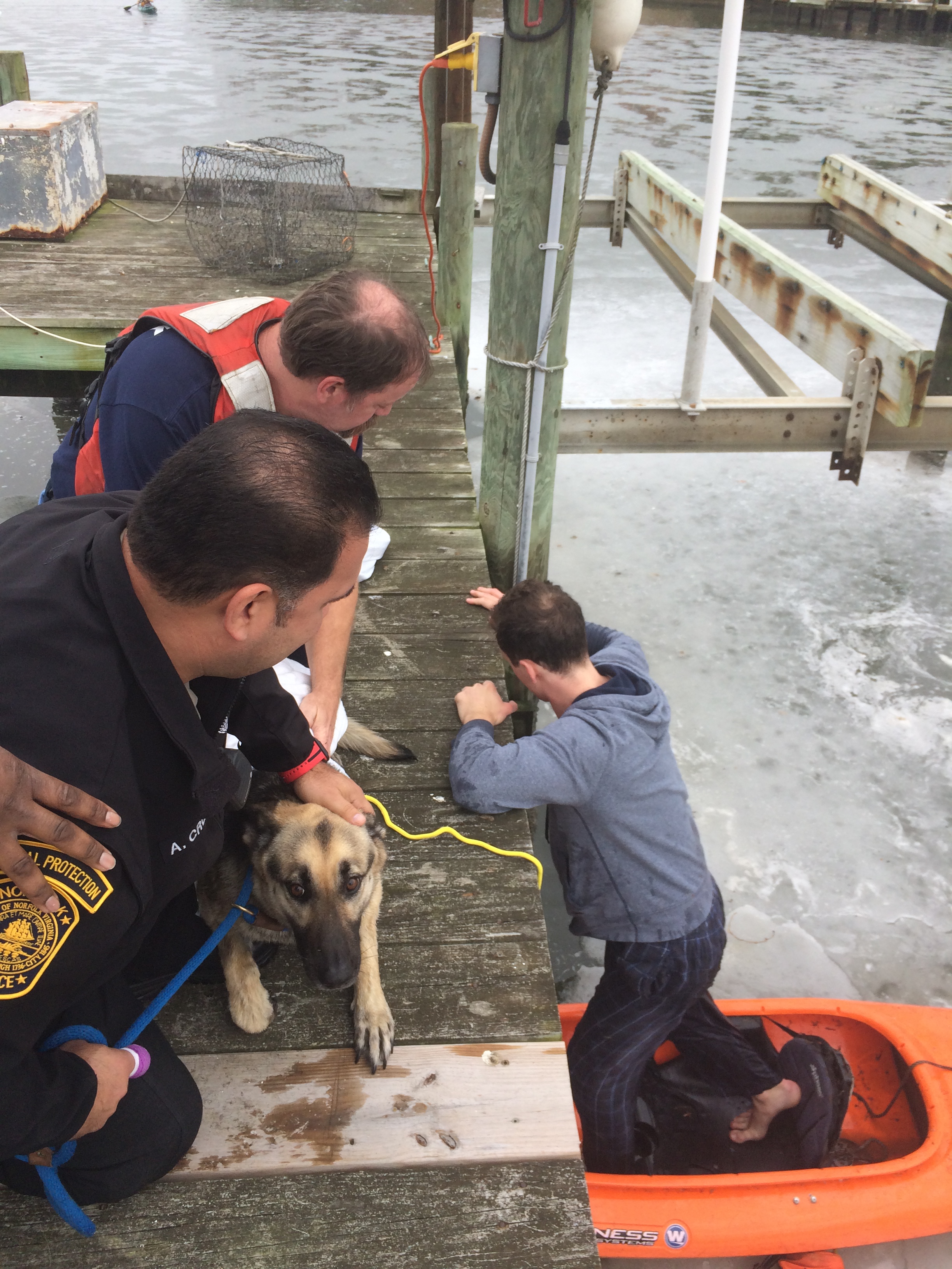 Good Samaritan rescues dog from Lafayette River in Norfolk
